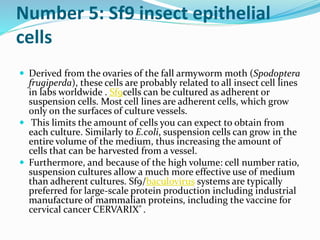 Secondary cell culture | PPTX