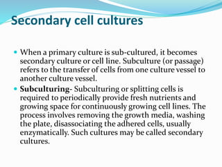 Secondary cell culture | PPTX