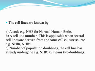 Secondary cell culture | PPTX