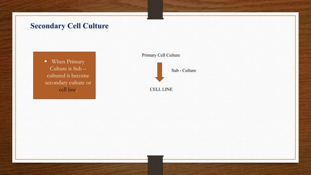 secondary cell culture or cell line.pptx | Biological Sciences | Science