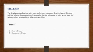 secondary cell culture or cell line.pptx