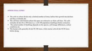 secondary cell culture or cell line.pptx