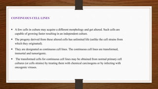 secondary cell culture or cell line.pptx