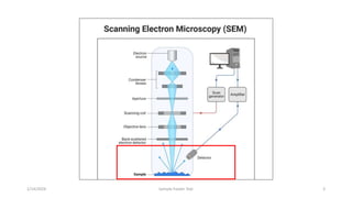 Secondary Electron Detector | PPTX