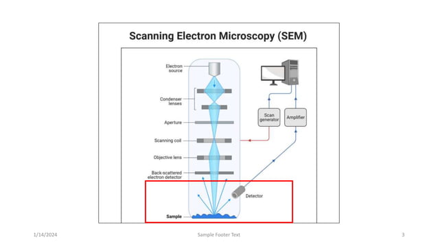 Secondary Electron Detector | PPTX