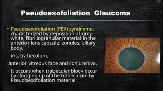 Secondary glaucoma an overview about glaucoma | PPTX