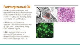Secondary glomerular disorders.pptx