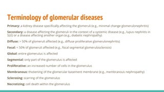Secondary glomerular disorders.pptx