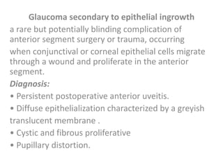 secondary gluacoma classifications and brief explanation.pptx