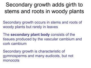 Secondary growth.ppt