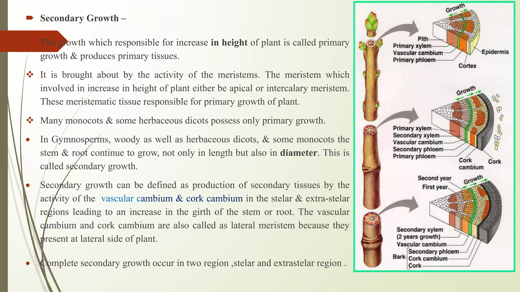 SECONDARY GROWTH.pptx