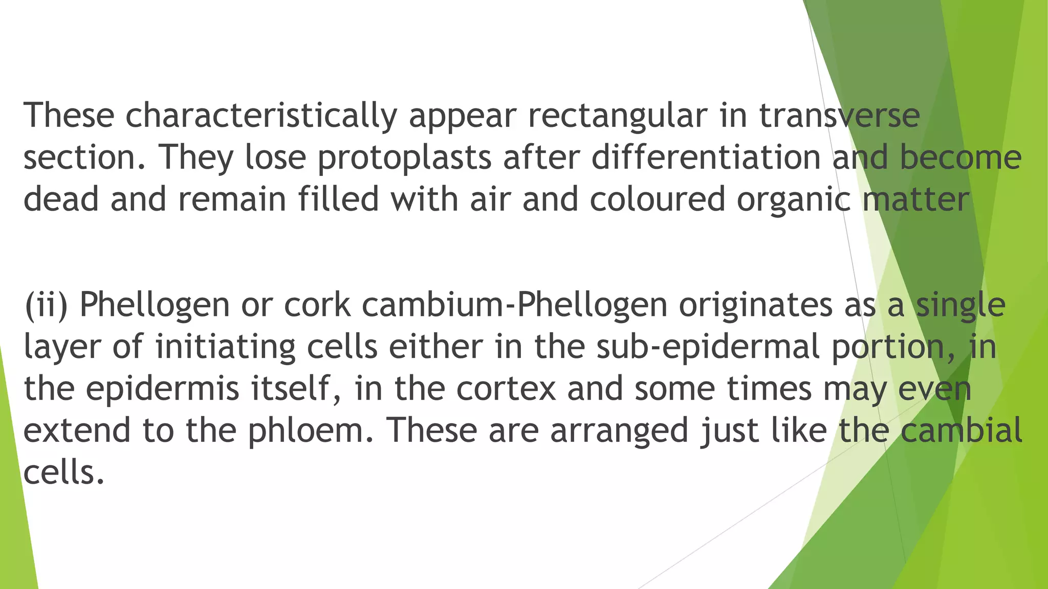 Secondary growth.pptx