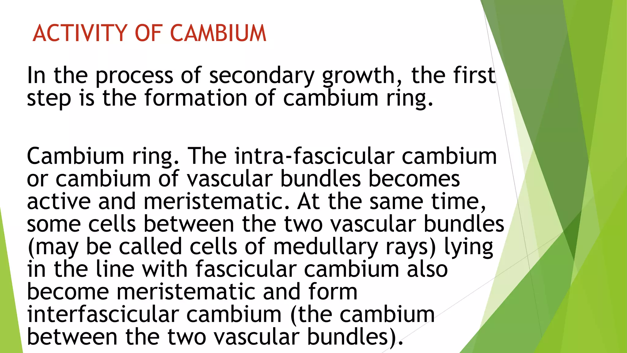 Secondary growth.pptx
