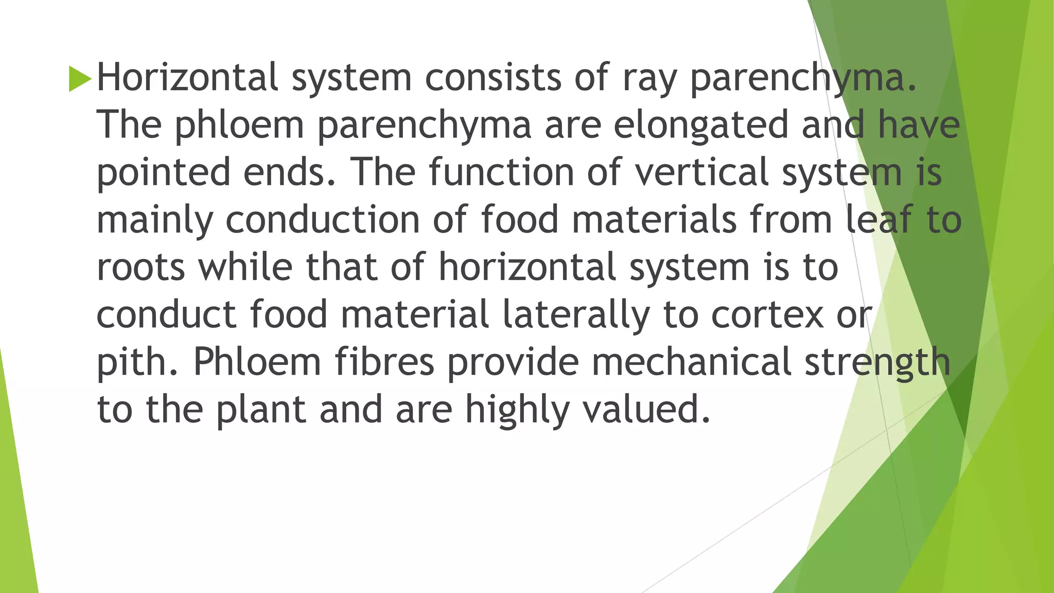 Secondary growth.pptx
