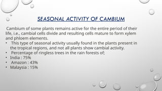 Secondary growth and anomalous secondary growth.pptx
