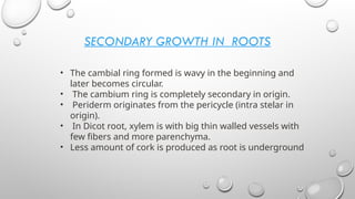 Secondary growth and anomalous secondary growth.pptx