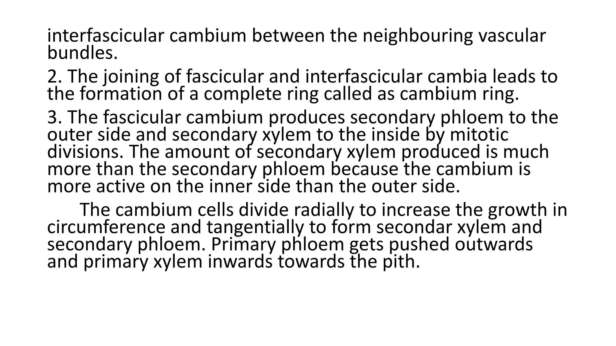 Secondary growth of dicot stem | PPTX