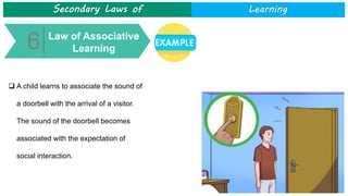 Secondary laws of learning.pptx