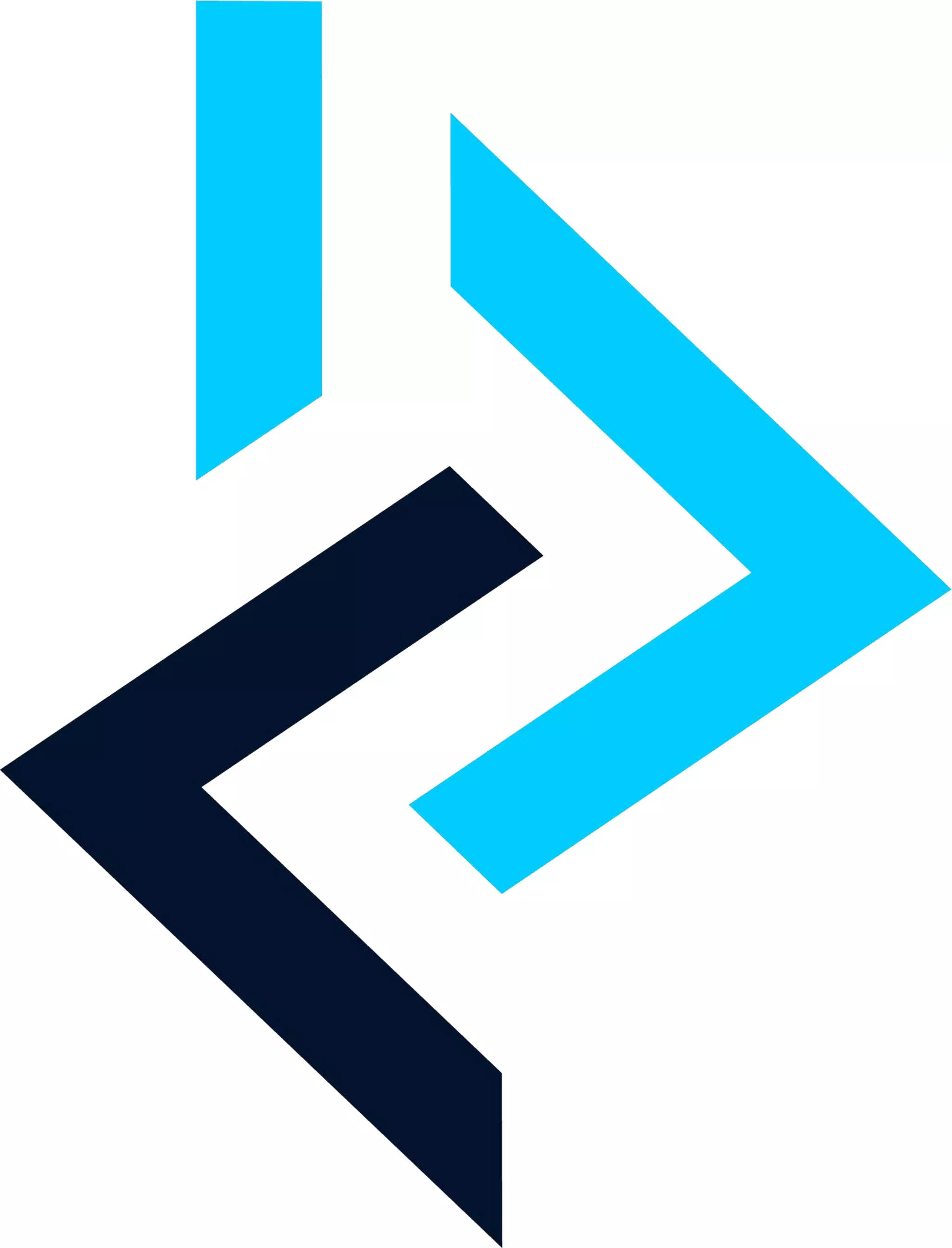 Binary Confidence Secondary Logo | PDF