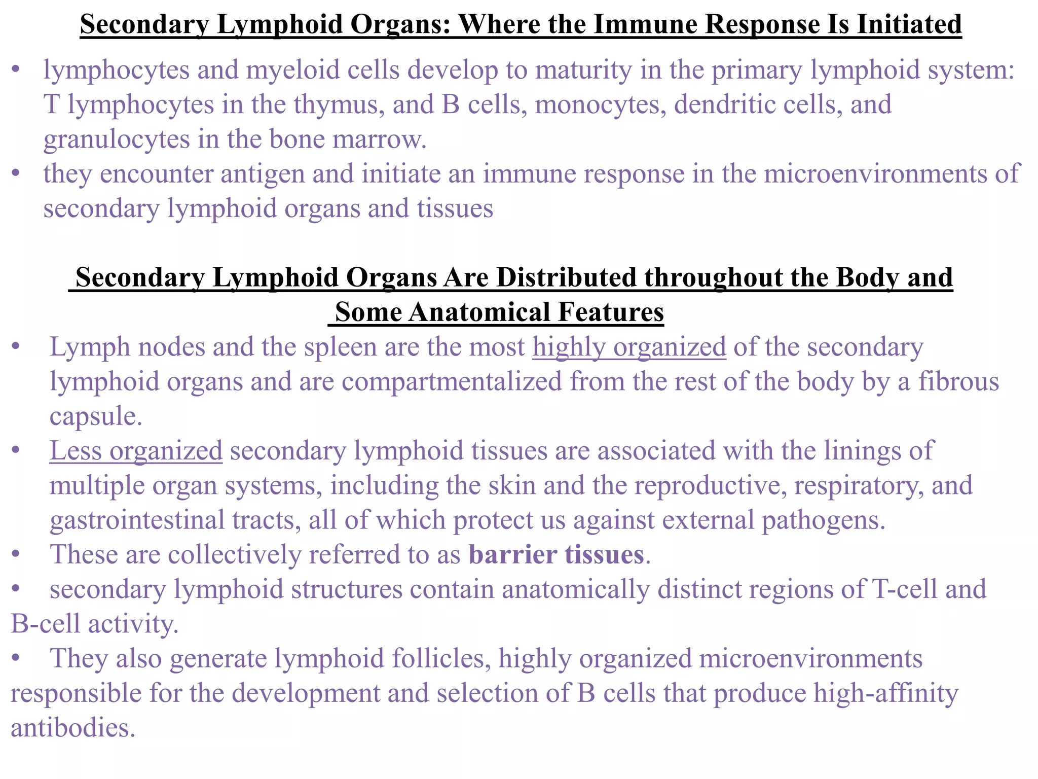 Secondary lymphatic system in humans system | PPTX