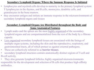 Secondary lymphatic system in humans system | PPTX