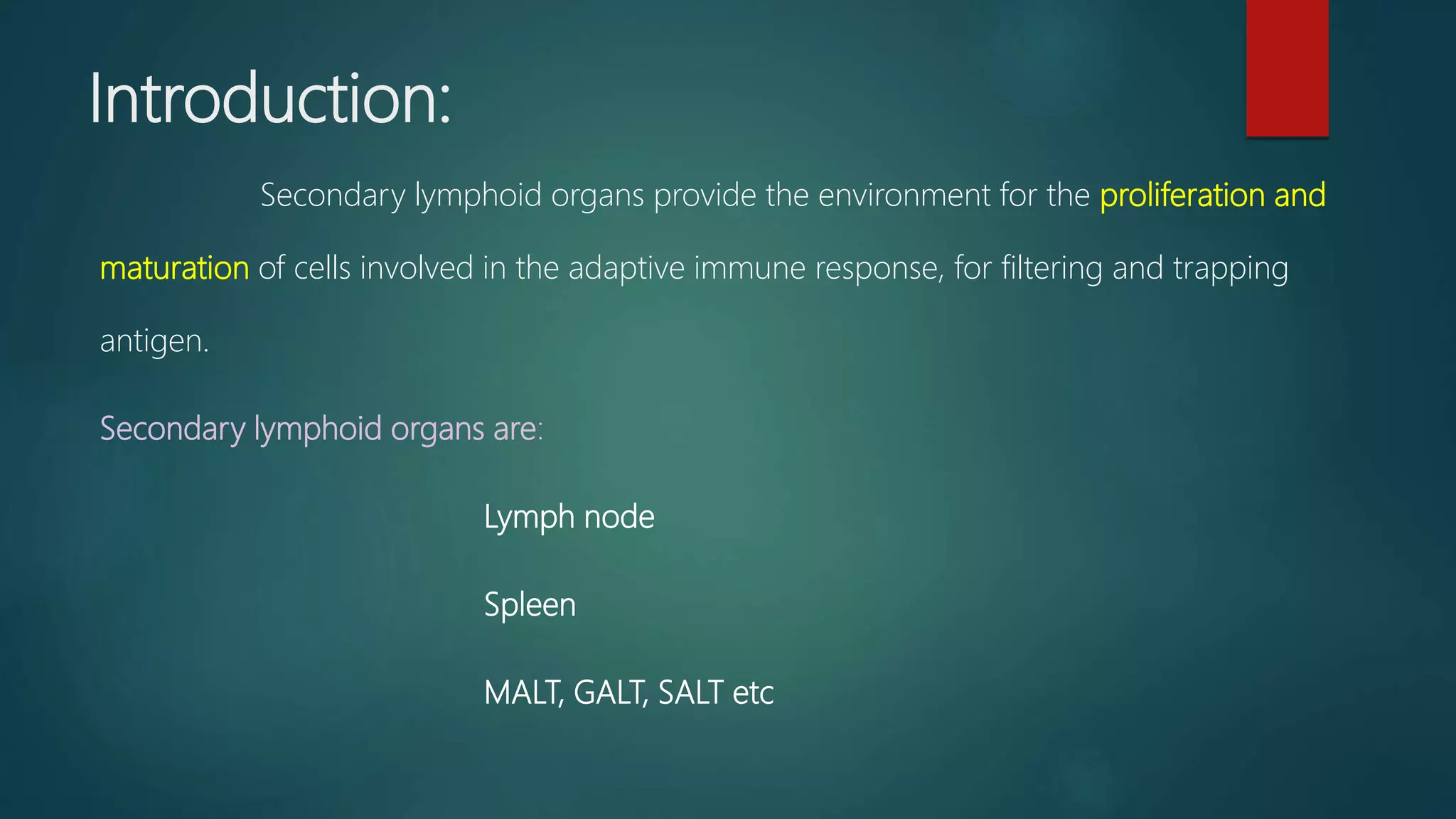 Secondary lymphoid organ.pptx