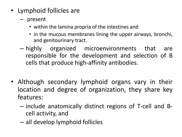 secondary lymphoid organ.pptx | Biological Sciences | Science