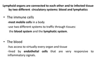 secondary lymphoid organ.pptx