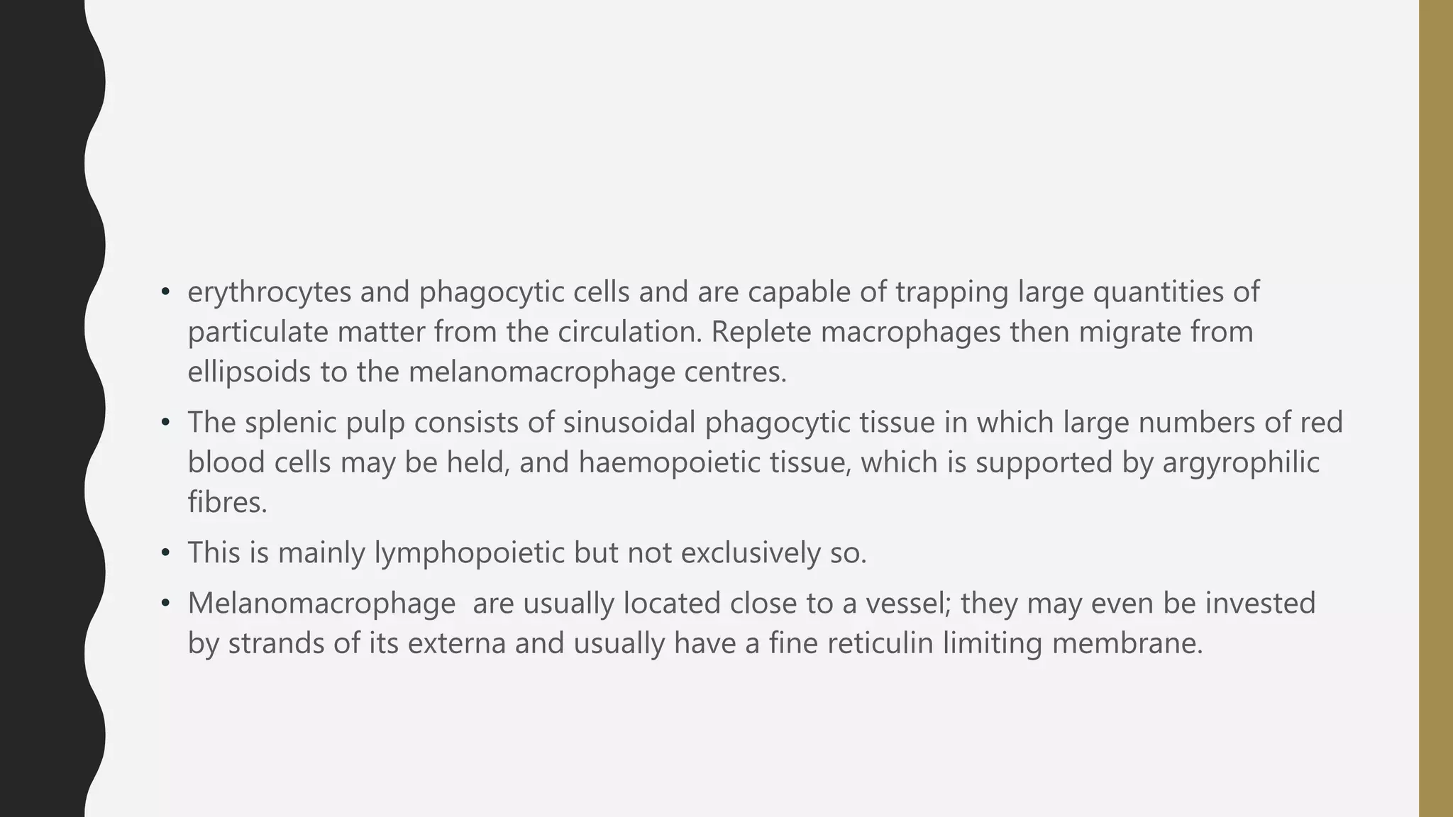 Secondary lymphoid organ in teleost | PPTX