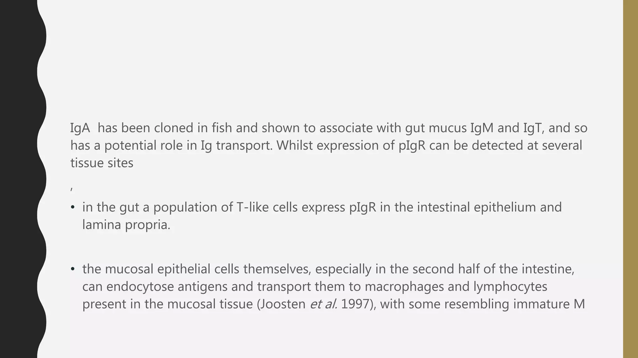 Secondary lymphoid organ in teleost | PPTX
