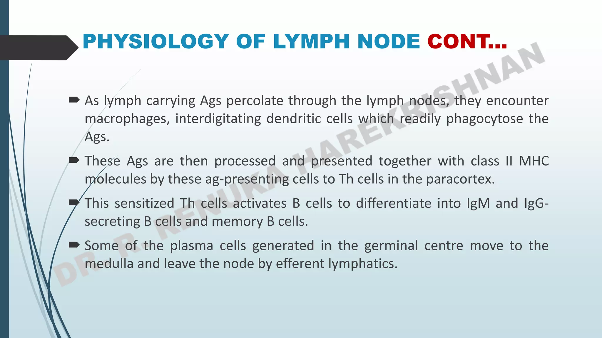 Secondary lymphoid organs | PPTX