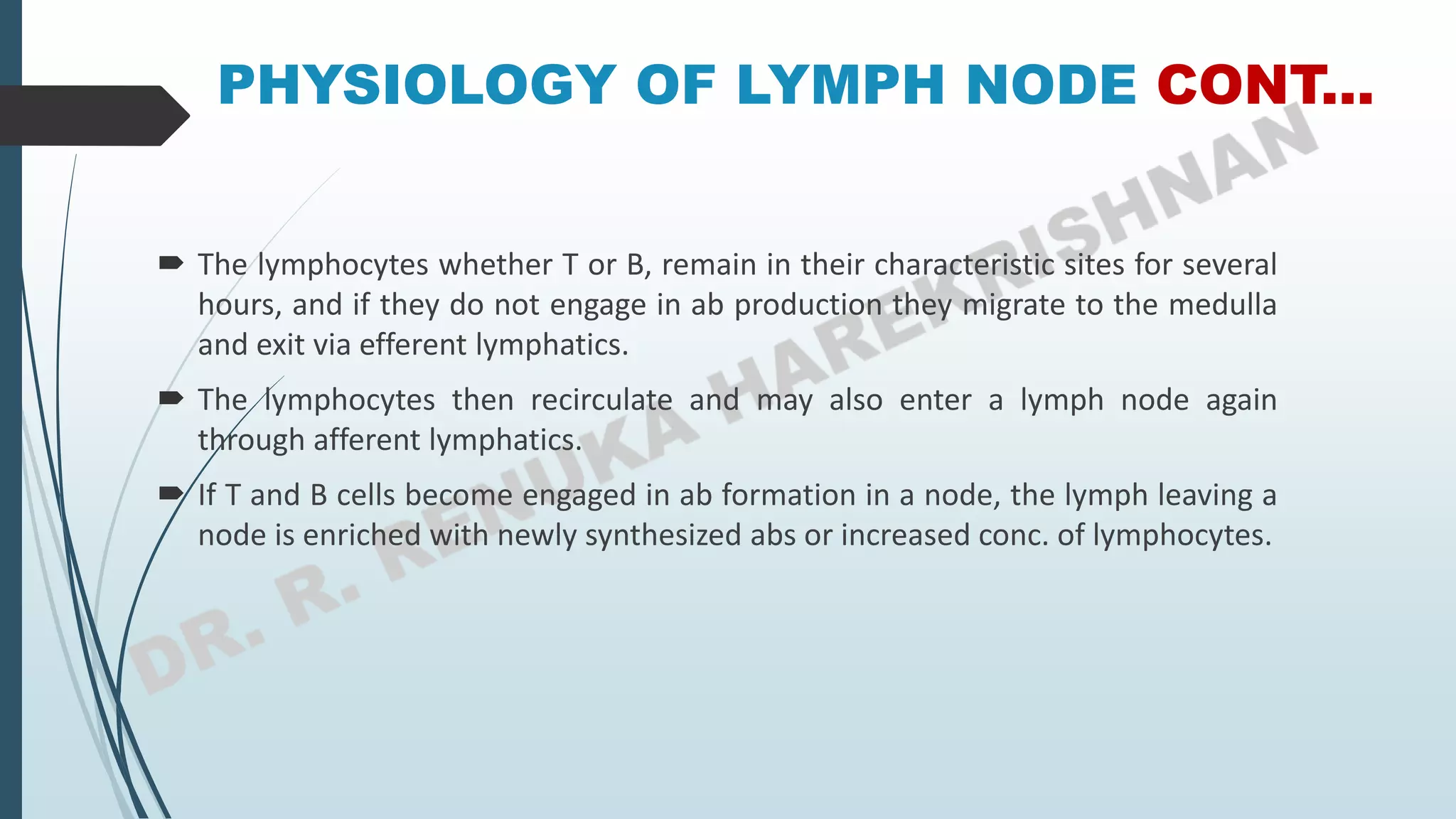 Secondary lymphoid organs | PPTX
