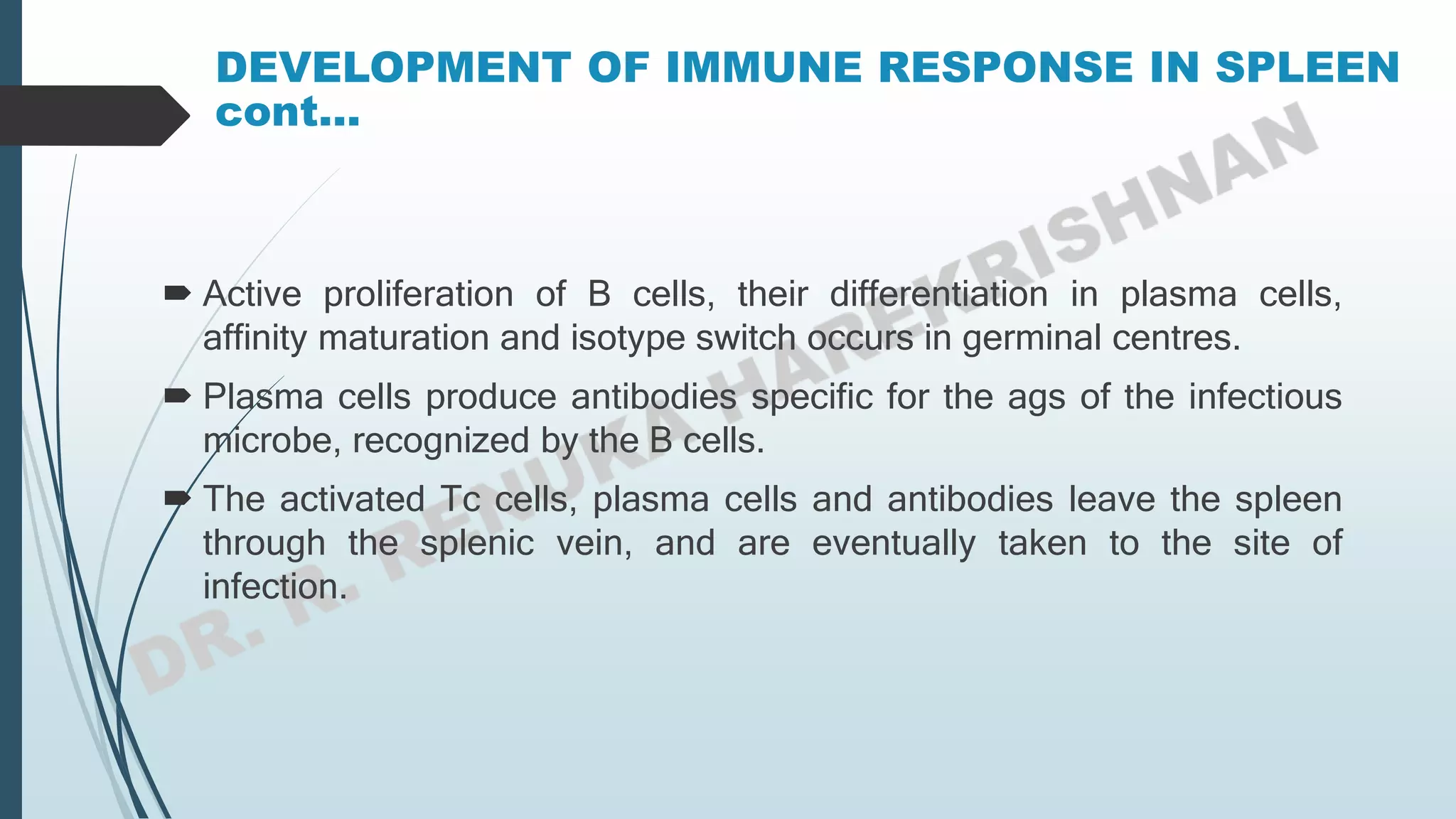 Secondary lymphoid organs | PPTX