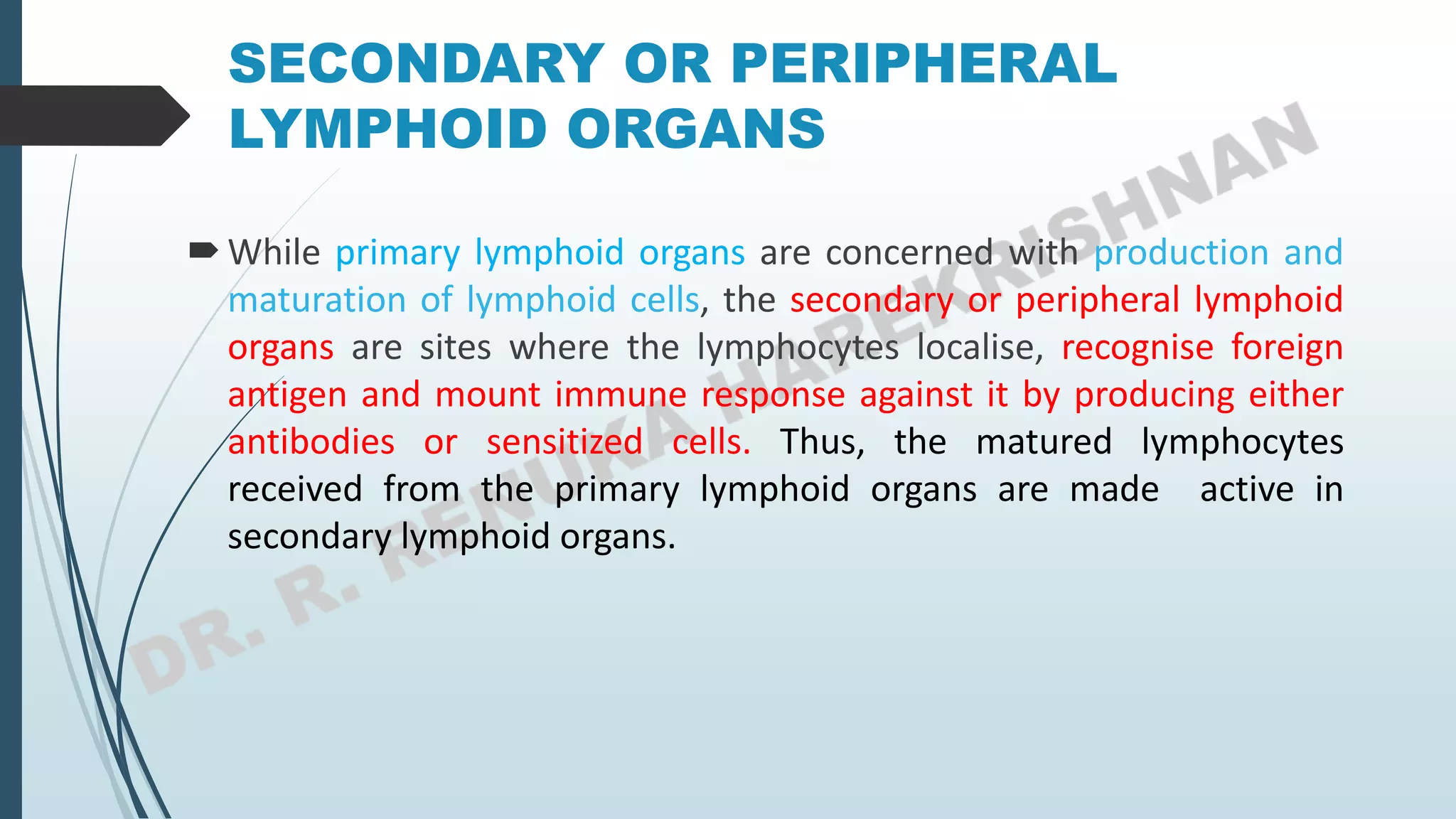 Secondary lymphoid organs | PPTX