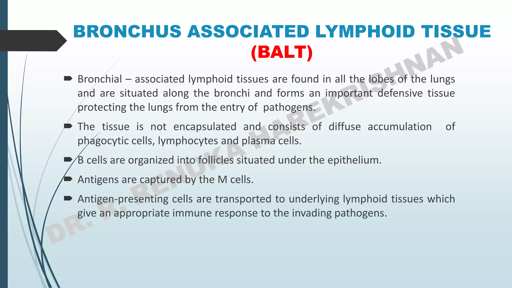 Secondary lymphoid organs | PPTX