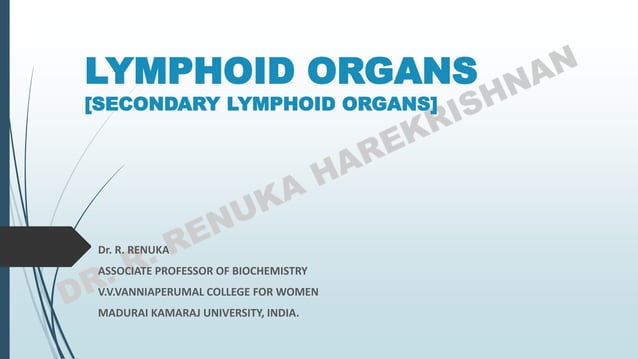 Secondary lymphoid organs | PPTX | Biological Sciences | Science
