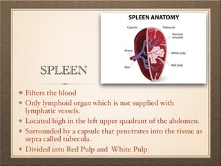 Secondary lymphoid organs | PDF