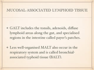 Secondary lymphoid organs | PDF
