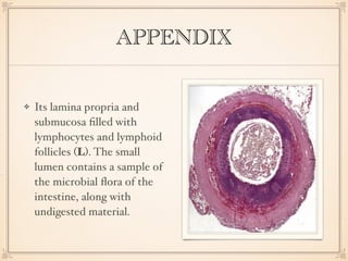Secondary lymphoid organs | PDF
