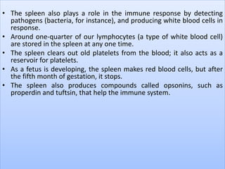 Secondary lymphoid organ (spleen) | PPTX
