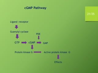 secondary messenger pptx | PPTX