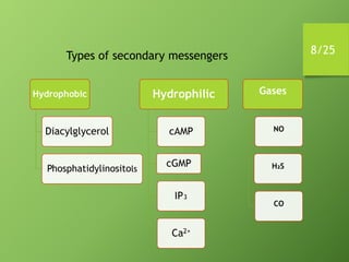 secondary messenger pptx | PPTX