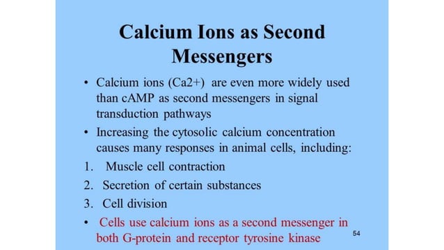 Secondary Messengers-1.pptx | Biological Sciences | Science