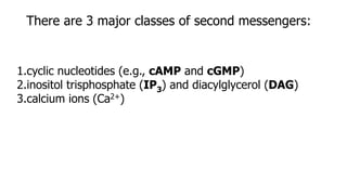 Secondary Messengers-1.pptx | Biological Sciences | Science