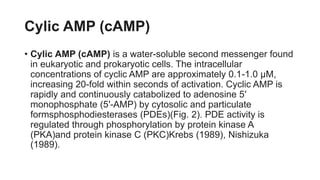 Secondary Messengers-1.pptx | Biological Sciences | Science