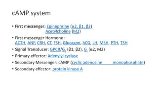 Secondary Messengers-1.pptx | Biological Sciences | Science