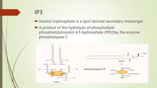 Secondary messengers.pptx