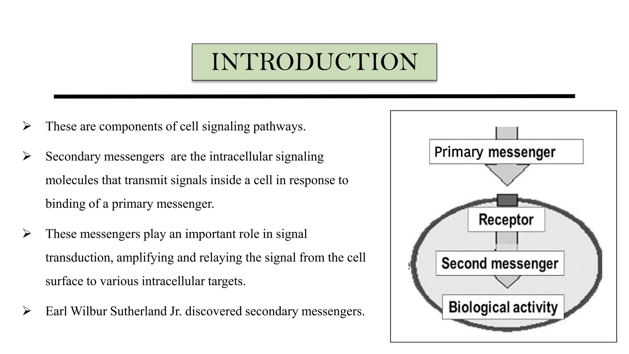 Secondary messengers.pdf