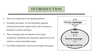 Secondary messengers.pdf