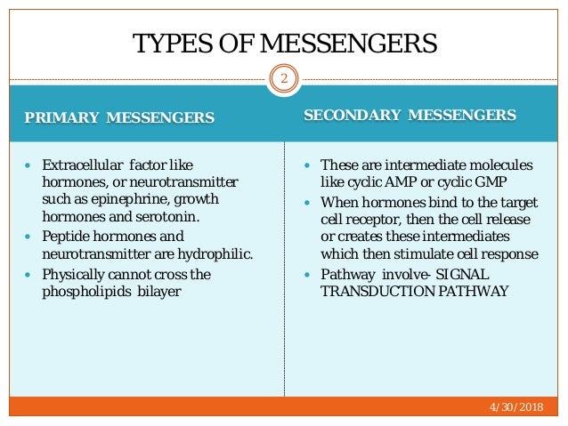 Assignment on Secondary messengers and intracellular signaling